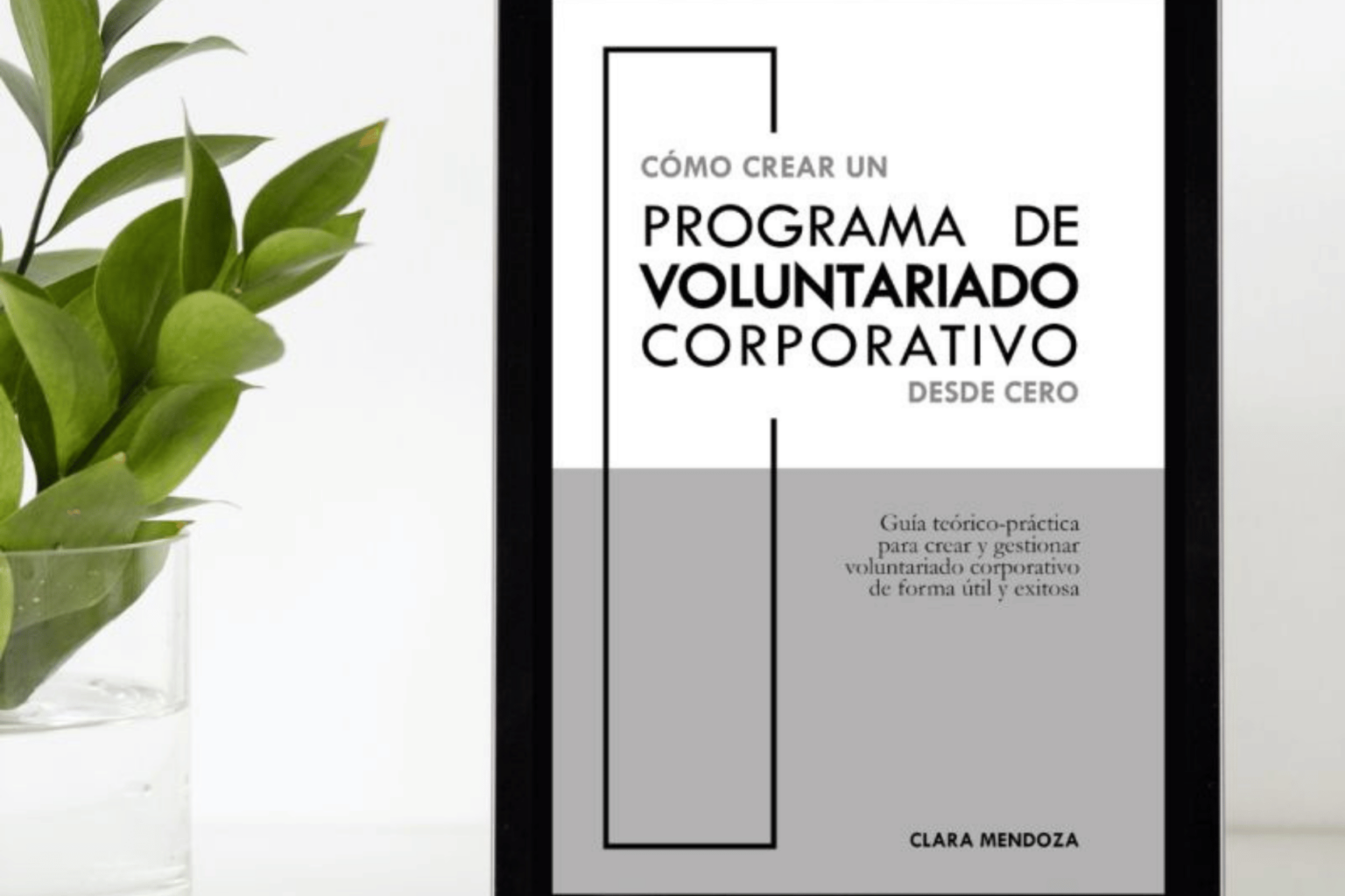 Libro: Cómo crear un programa de voluntariado corporativo desde cero - Voluntare