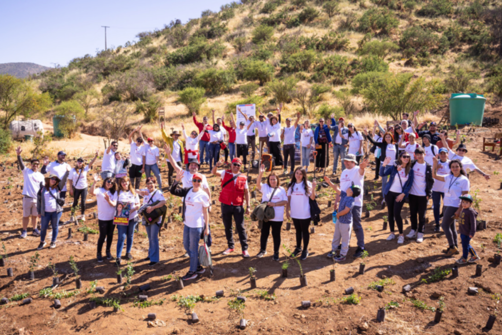 “Plantemos Vida” de Fundación MAPFRE Chile impulsa un futuro más verde ...