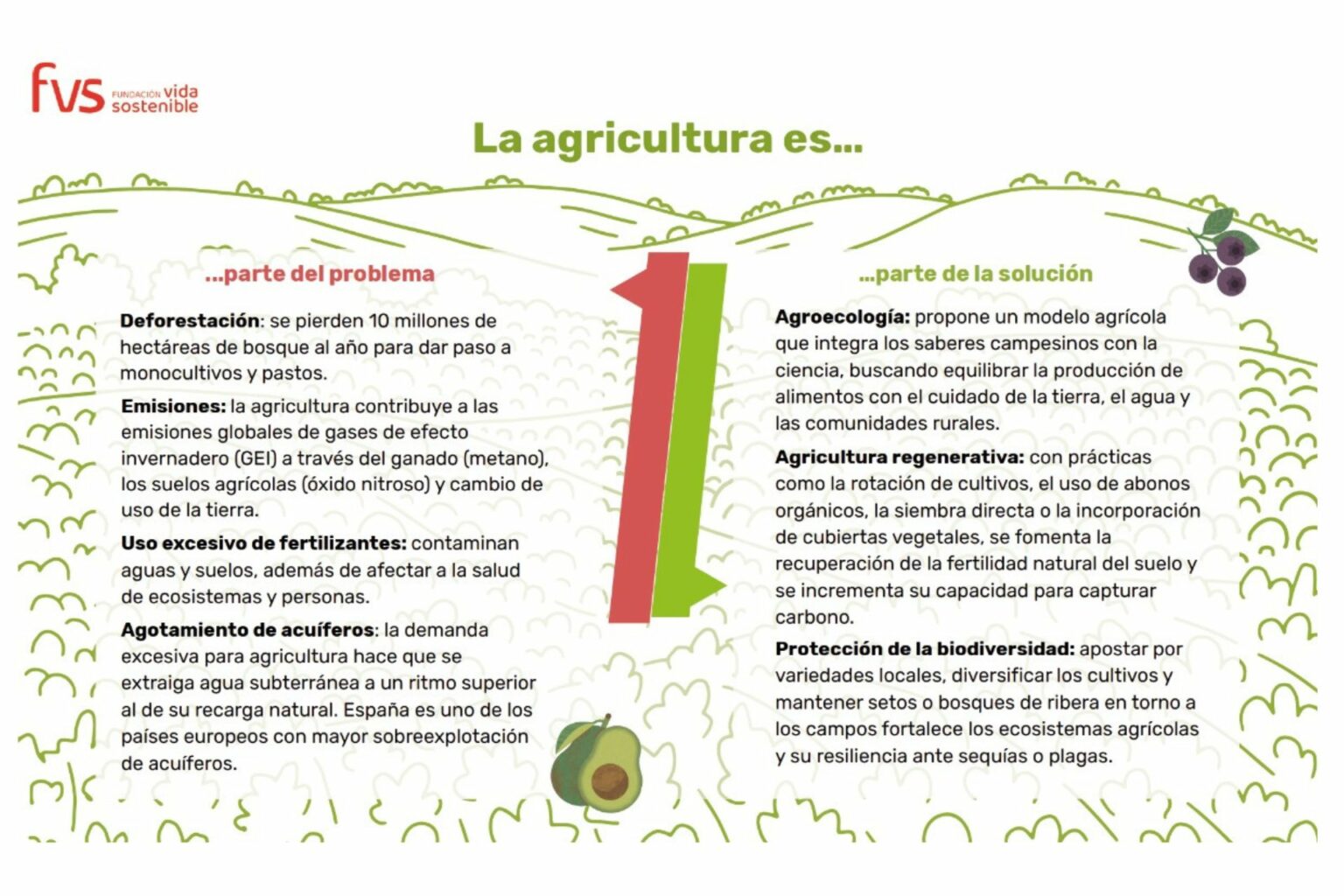 Fundación Vida Sostenible celebra el Día Mundial de la Agricultura ...